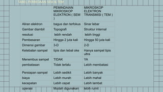 Scanning Electron Microscopy (SEM) & Transmission Electron Microscopy ...