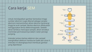 Scanning Electron Microscopy (SEM) & Transmission Electron Microscopy ...