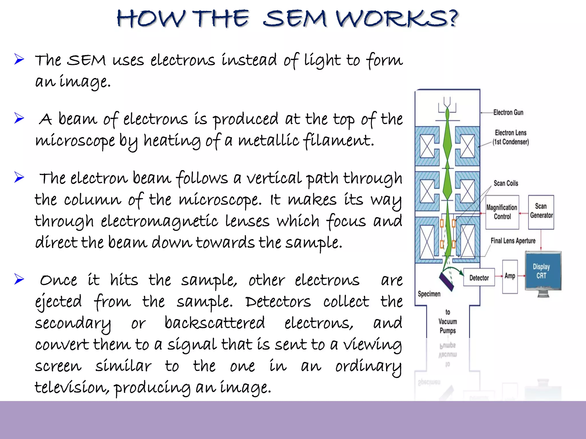 SEM,TEM & AFM | PDF