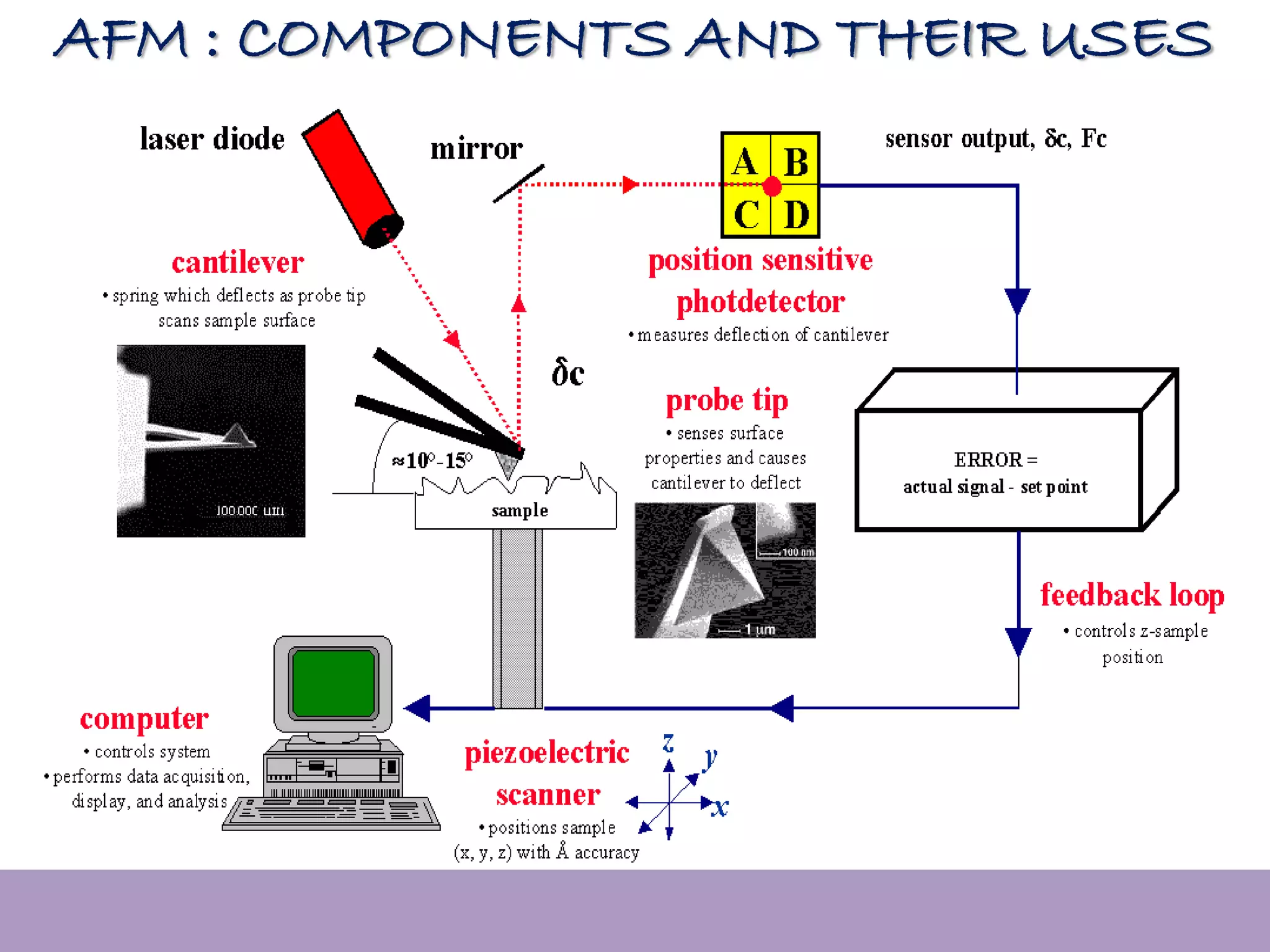 SEM,TEM & AFM | PDF