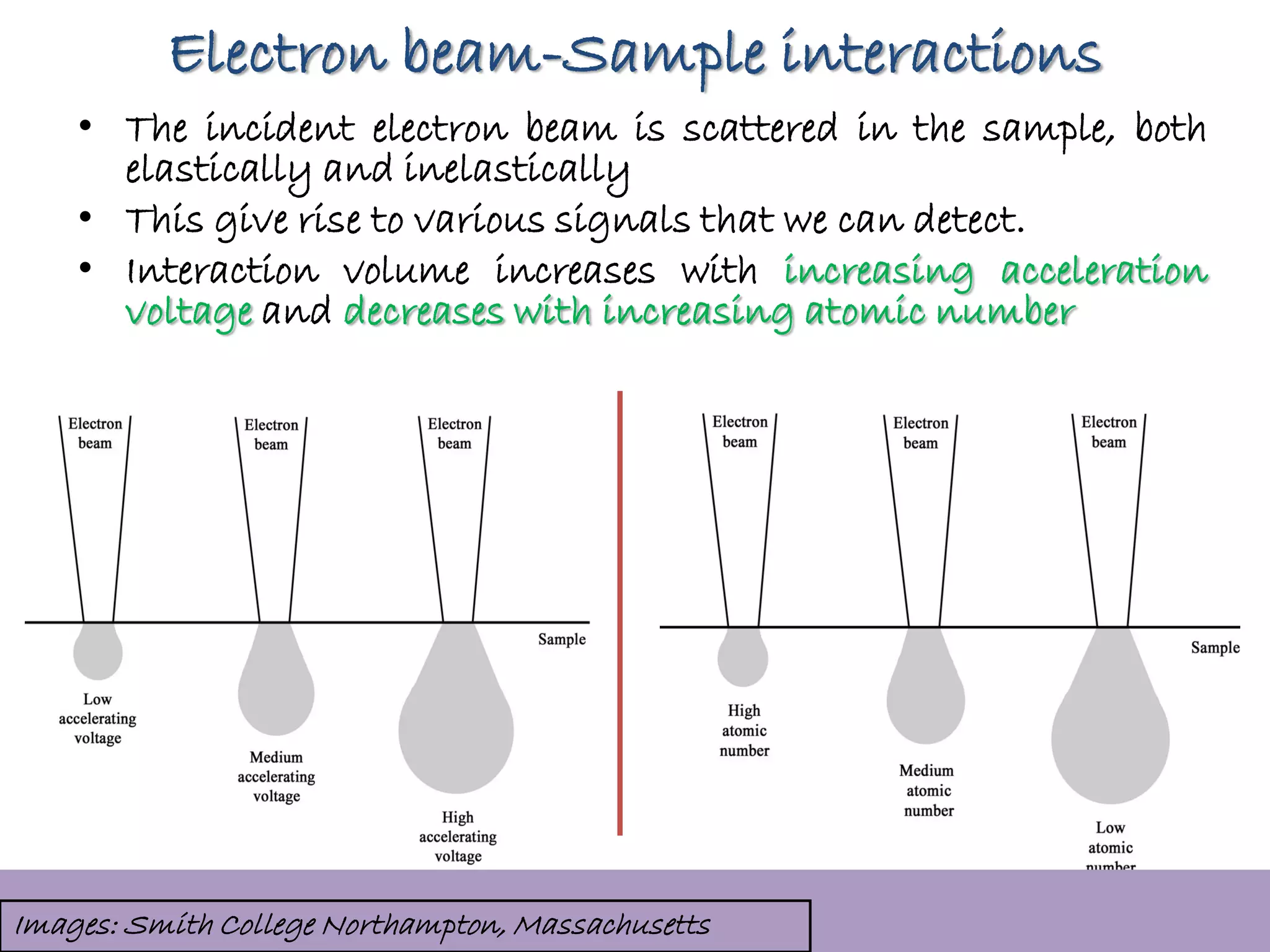 SEM,TEM & AFM | PDF