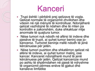 Semundjet kanceri | PPT