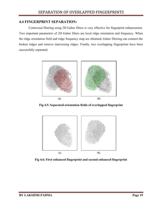 SEPARATION OF OVERLAPPED FINGERPRINTS | PDF
