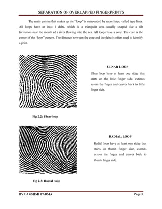 SEPARATION OF OVERLAPPED FINGERPRINTS | PDF