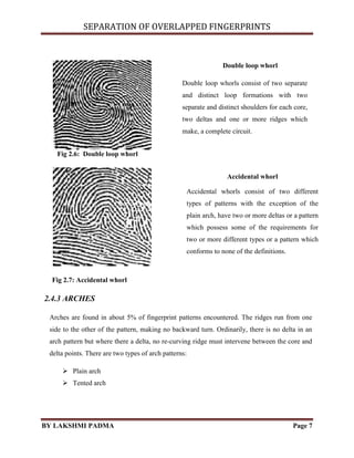 SEPARATION OF OVERLAPPED FINGERPRINTS | PDF