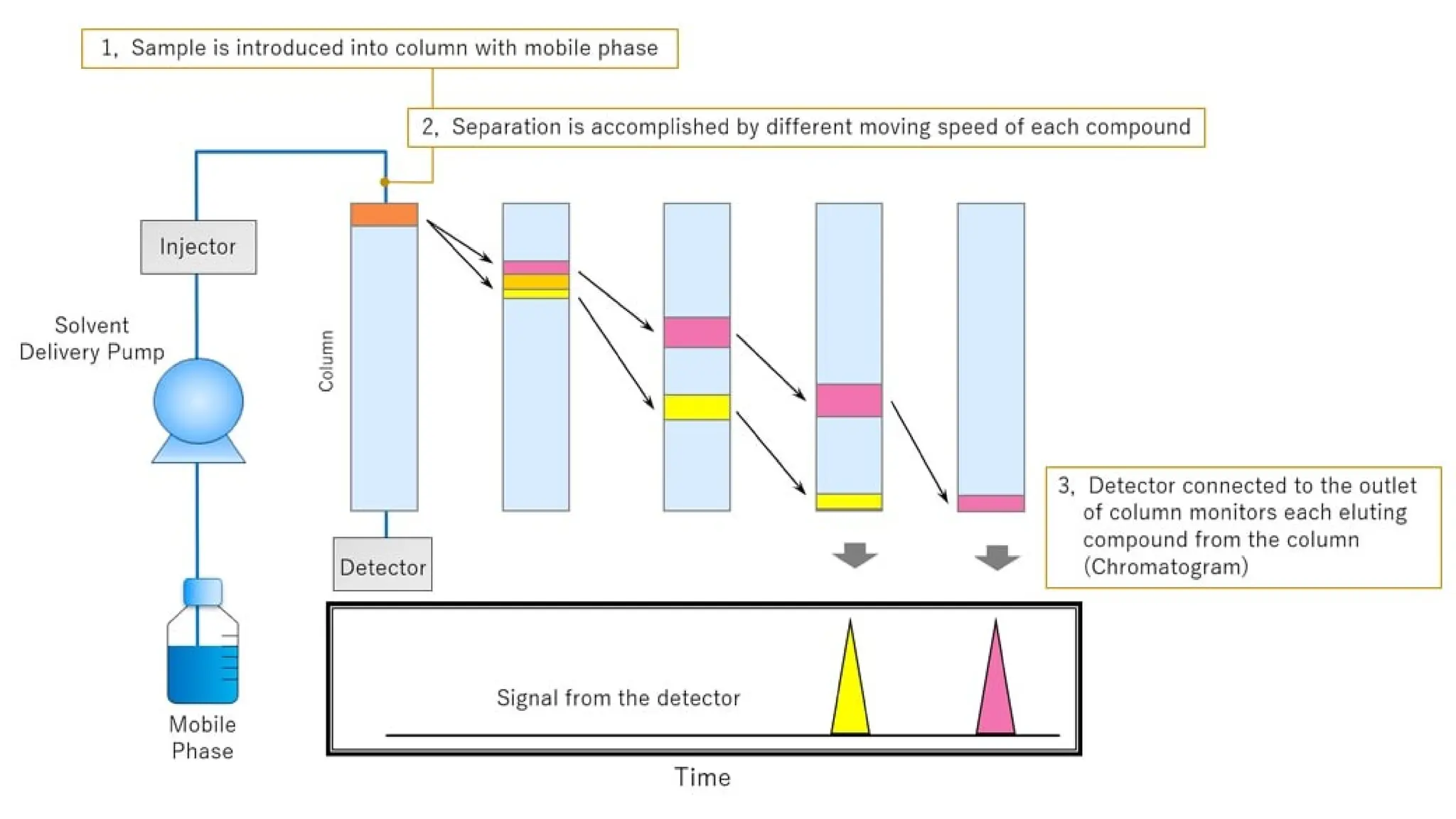 Princincple of chromatography HPLC and TLC.pptx