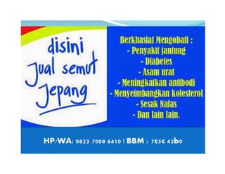 Semut jepang, 082370086410 | PDF