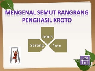 Semut rangrang | PPTX