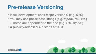 Semantic Versioning | PDF