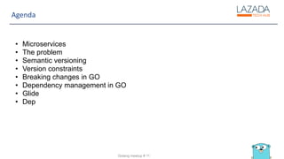 Semantic versioning and microservices in GO | PPT