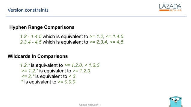 Semantic versioning and microservices in GO | PPT