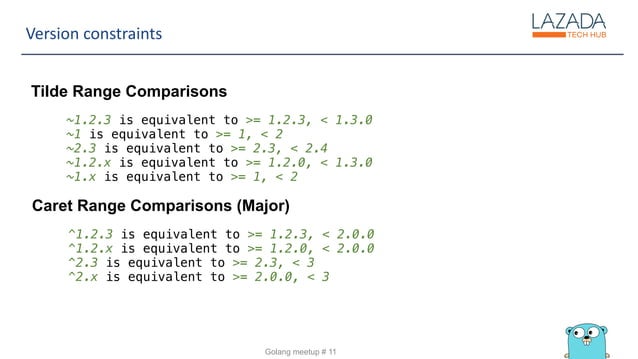 Semantic versioning and microservices in GO | PPT