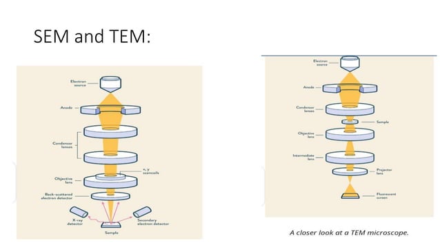 sem vs tem.pptx | Geology | Science