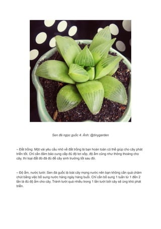 Sen đá guốc | PDF