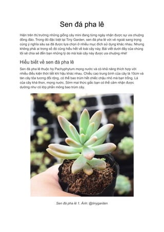 Sen đá pha lê | PDF