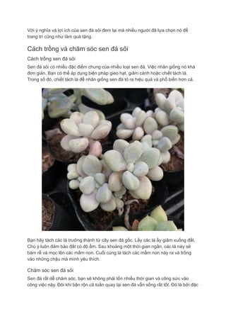 Sen đá sỏi | PDF