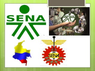 Sena | PPTX