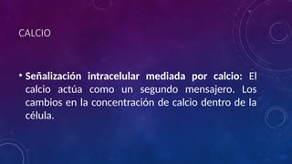 PRESENTACIÓN SOBRE SEÑALIZACION CELULAR.pptx