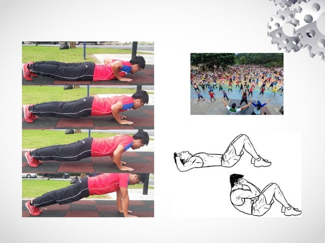 Senaman dan fungsinya | PPT