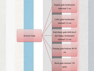 Senam irama | PPTX