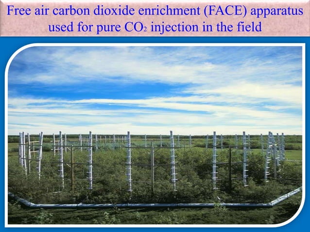 Scenario of insect pest under climate change situation & future ...