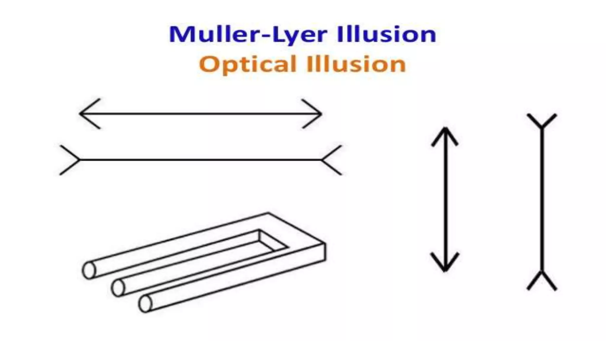 Concepts of Sensation, Perception, Attention, Concept Formation and Problem Solving | PPTX