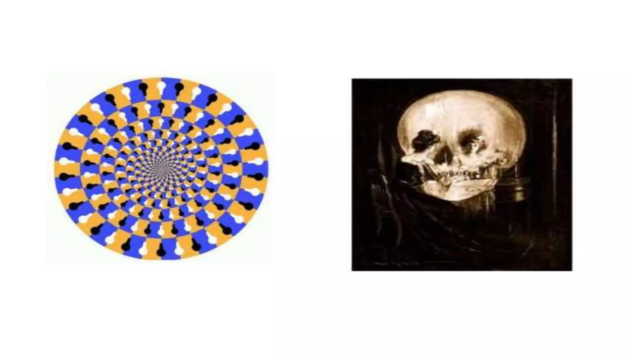 Concepts of Sensation, Perception, Attention, Concept Formation and ...