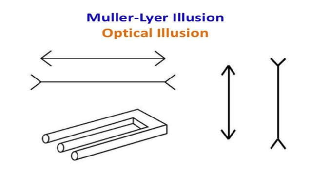Concepts of Sensation, Perception, Attention, Concept Formation and ...