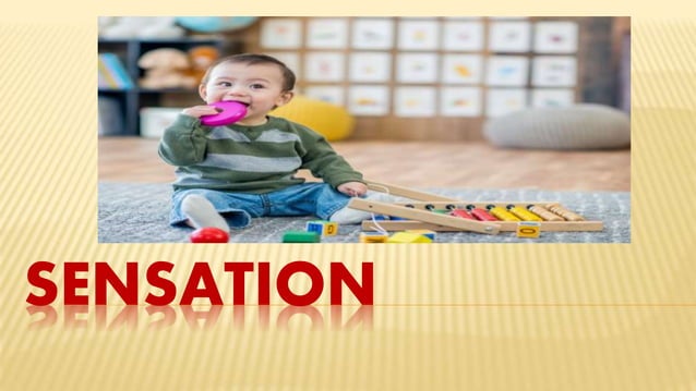 Concepts of Sensation, Perception, Attention, Concept Formation and Problem Solving | PPTX