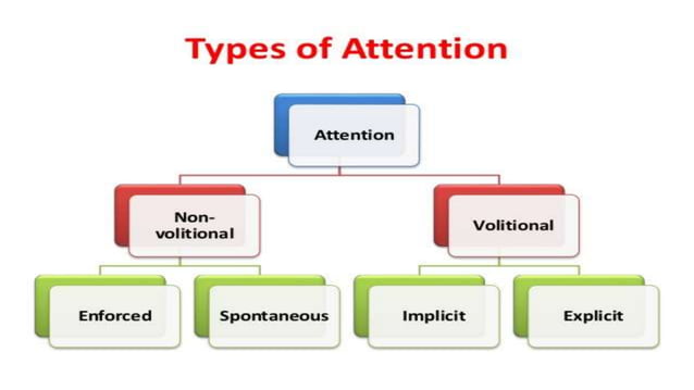 Concepts of Sensation, Perception, Attention, Concept Formation and Problem Solving | PPTX