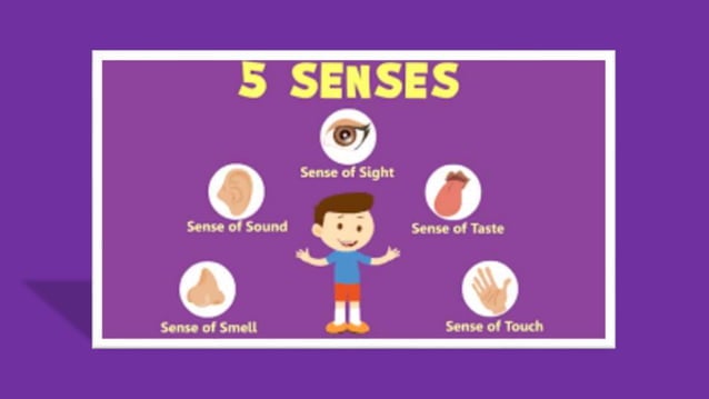 Concepts of Sensation, Perception, Attention, Concept Formation and Problem Solving | PPTX