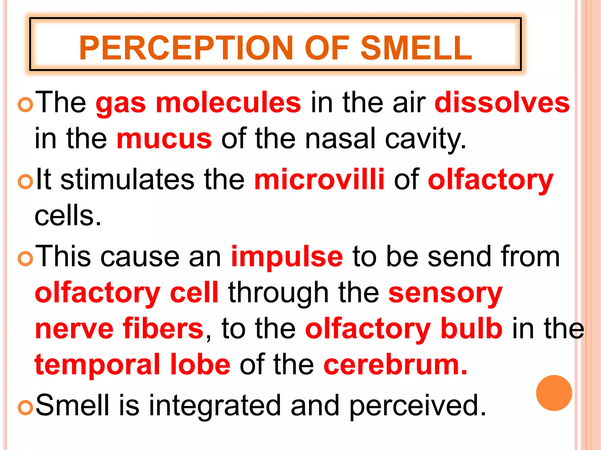 Sence organs ear and nose | PPTX
