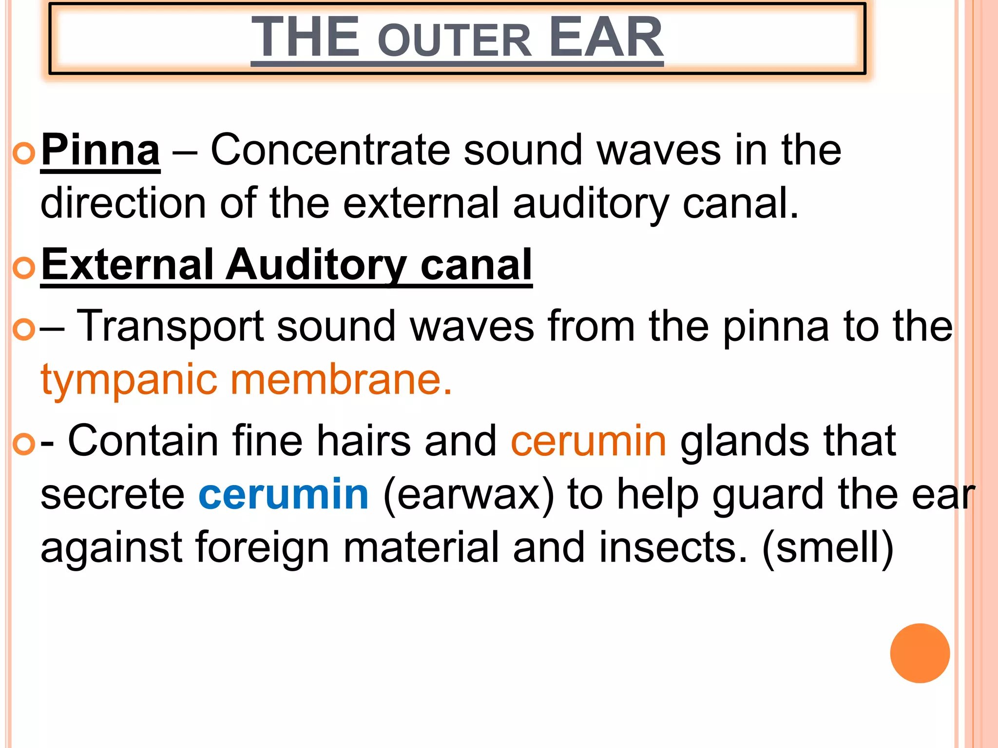 Sence organs ear and nose | PPTX