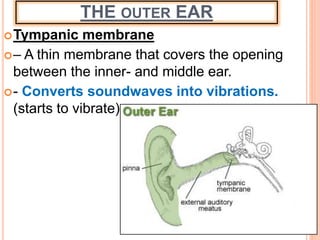 Sence organs ear and nose | PPTX