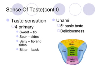 Sences [ heaing & taste] | PPT