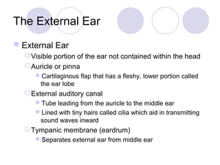 Sences [ heaing & taste] | PPT