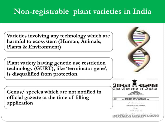 'Protection of Plant Varieties & Farmers’ Rights Act under Intellectual ...