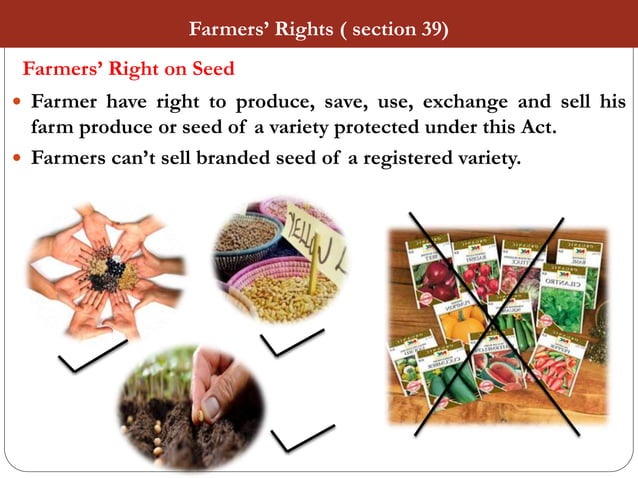 'Protection of Plant Varieties & Farmers’ Rights Act under Intellectual ...
