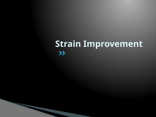 Strain-Improvement.pptx
