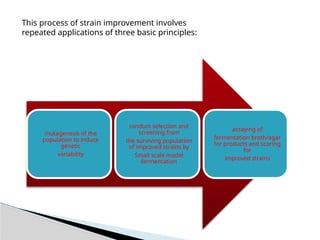 Strain-Improvement.pptx