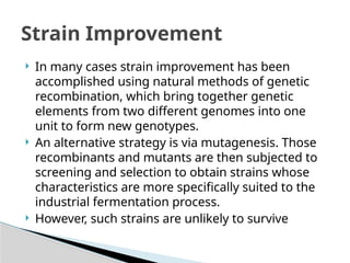 Strain-Improvement.pptx