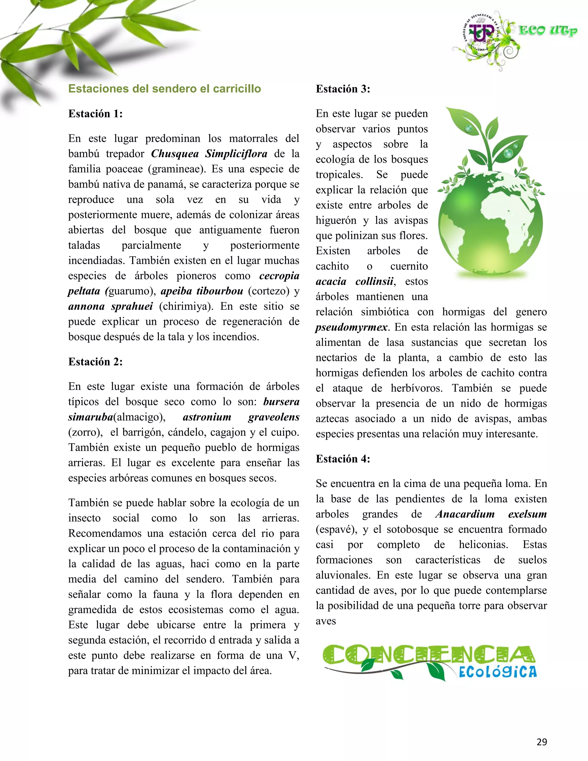 Sendero el Carricillo Universidad Tecnologica De Panamá | PDF