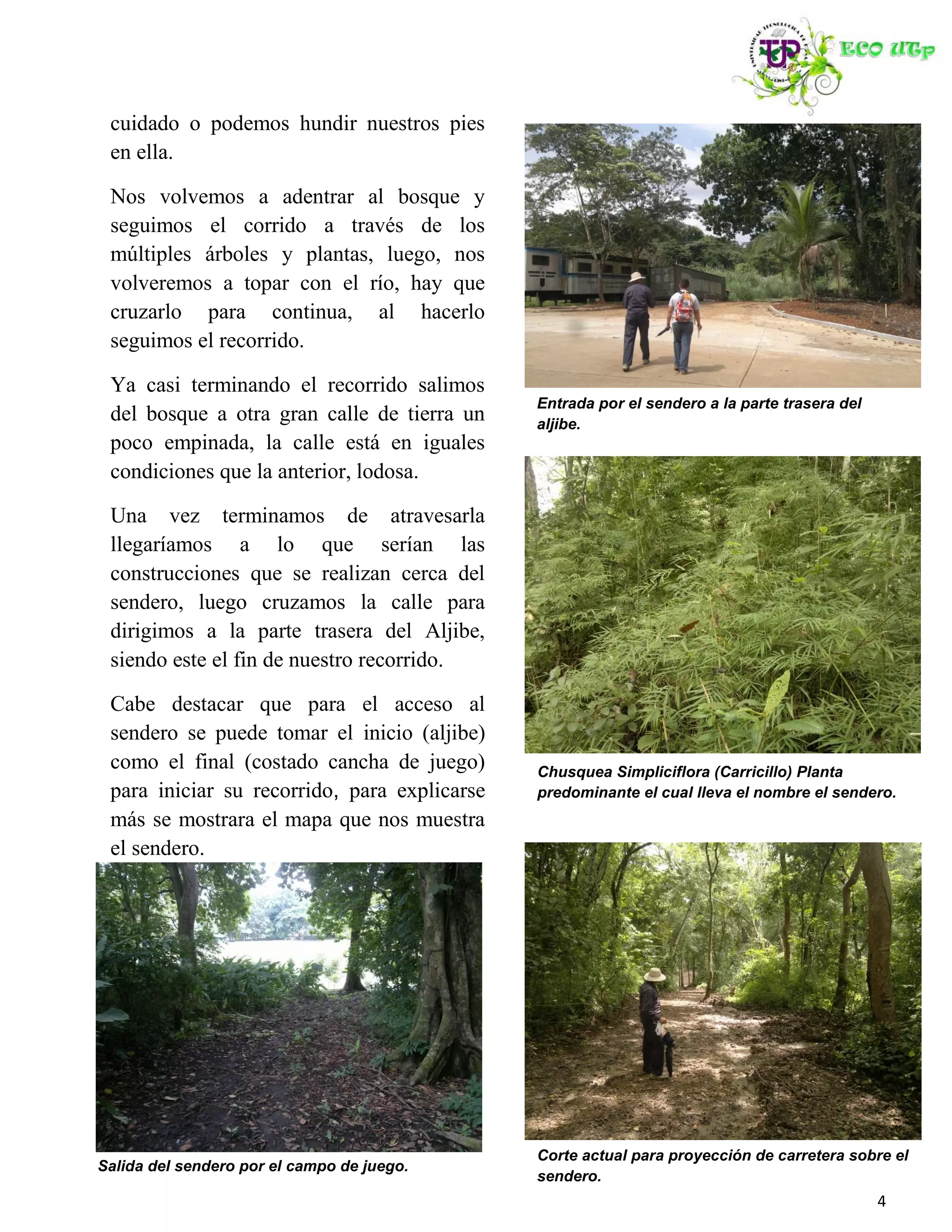 Sendero el Carricillo Universidad Tecnologica De Panamá | PDF
