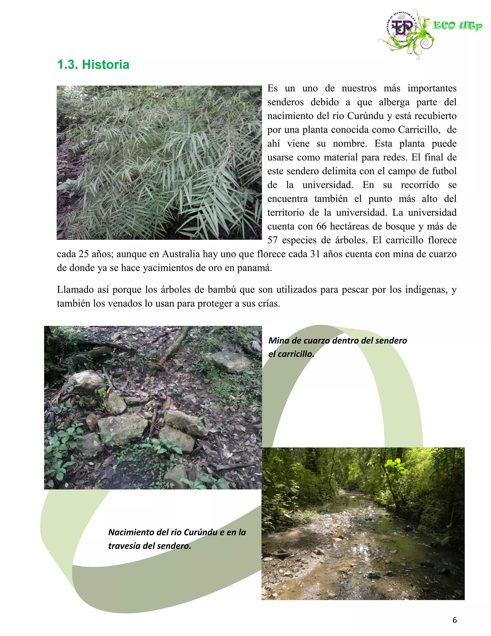 Sendero el Carricillo Universidad Tecnologica De Panamá | PDF