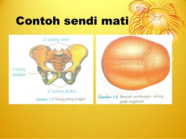 Sendi