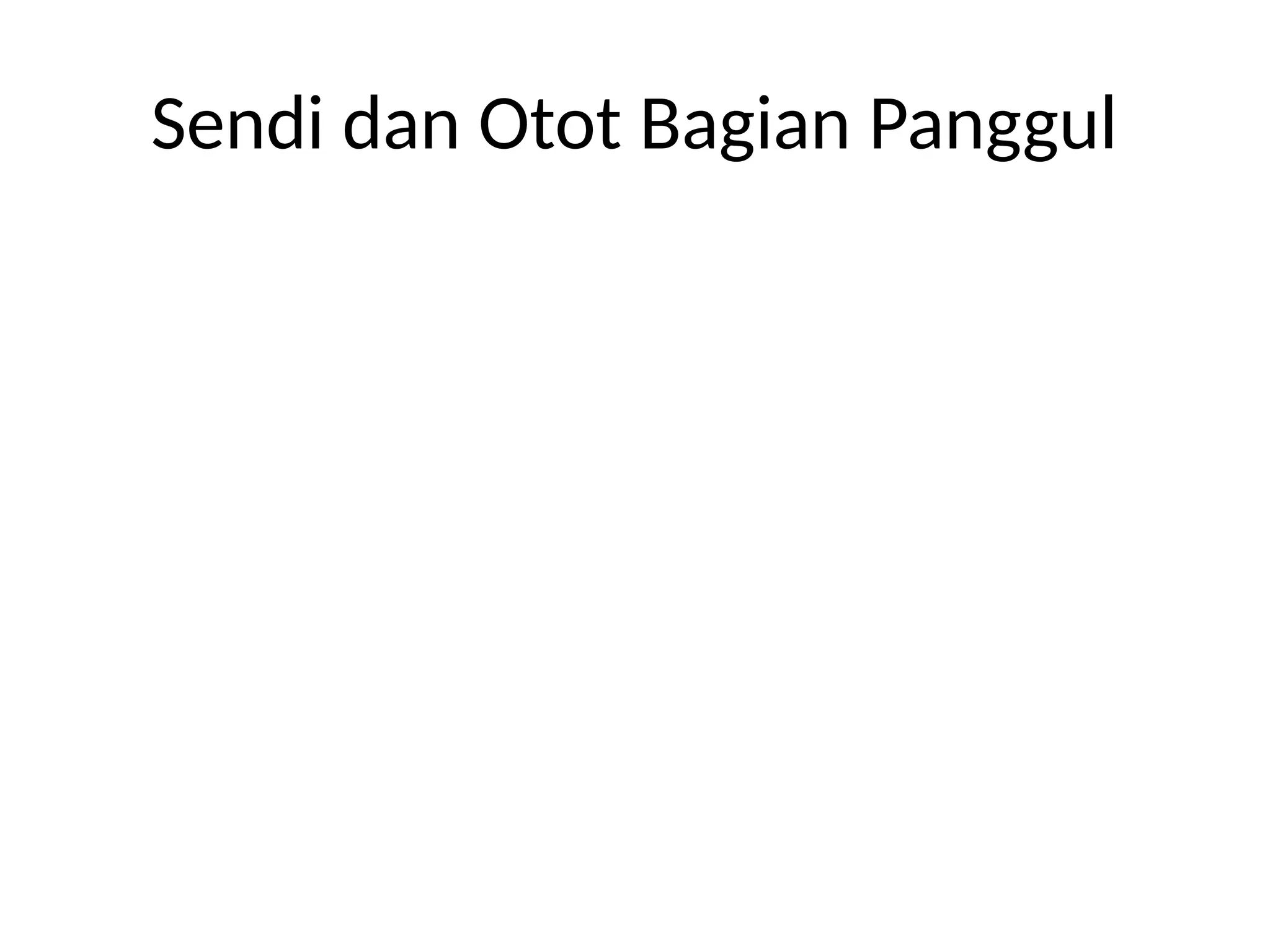 Sendi_dan_Otot_Panggul Anatomi Fisiologi Manusia | PPTX