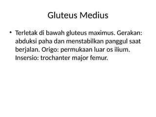 Sendi_dan_Otot_Panggul Anatomi Fisiologi Manusia | PPTX