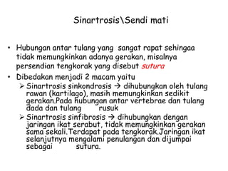 Sendi | PPTX