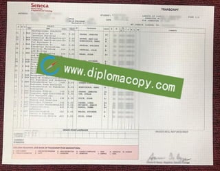 Seneca College transcript diploma | PDF