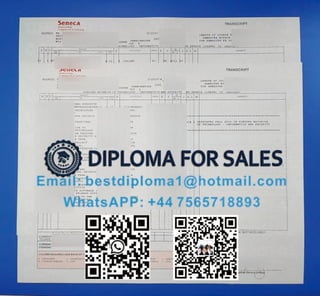 How to Buy Seneca College transcript, Seneca College of Applied Arts ...